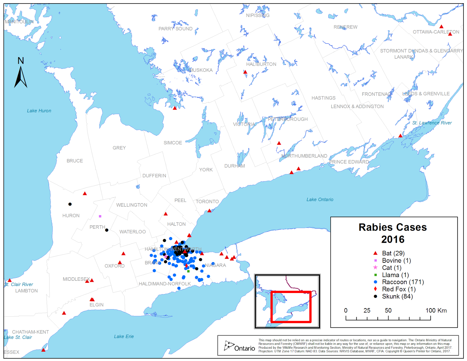 Paradigm InfoStream: HEALTH - First Rabies Case in Waterloo Region of ...