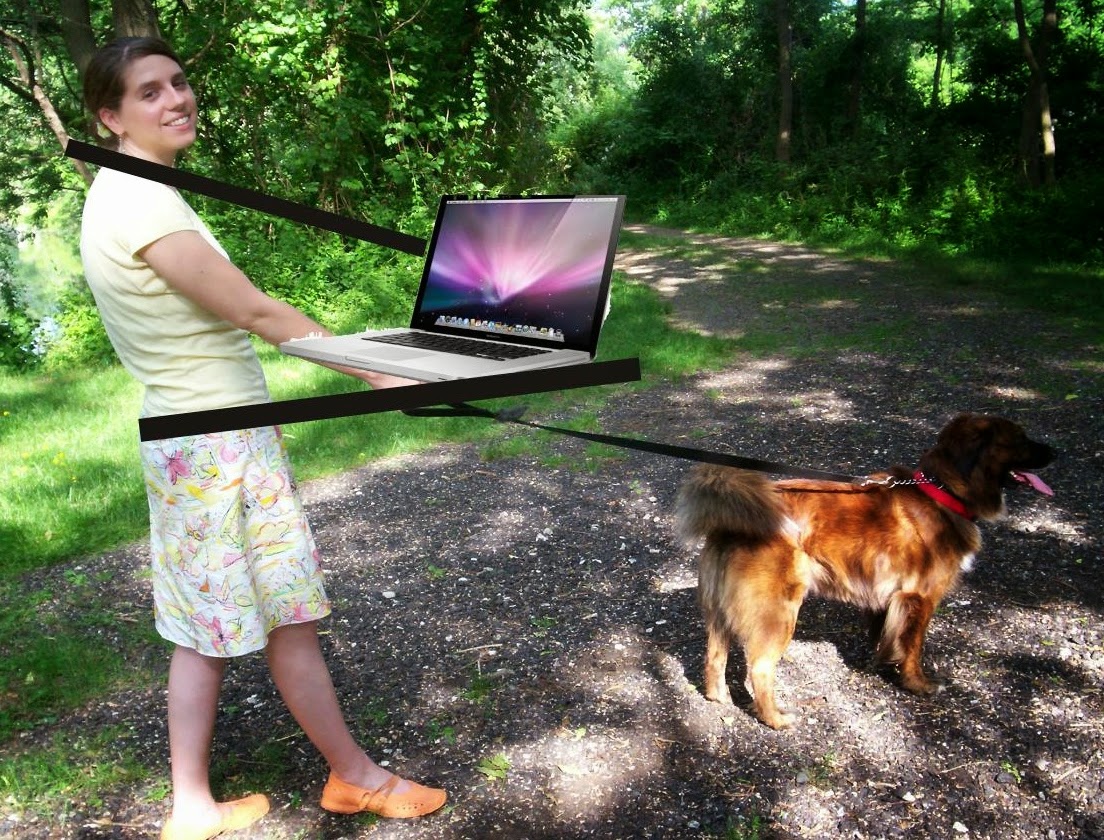 Alissa Grosso's Patented Dog Walk Desk