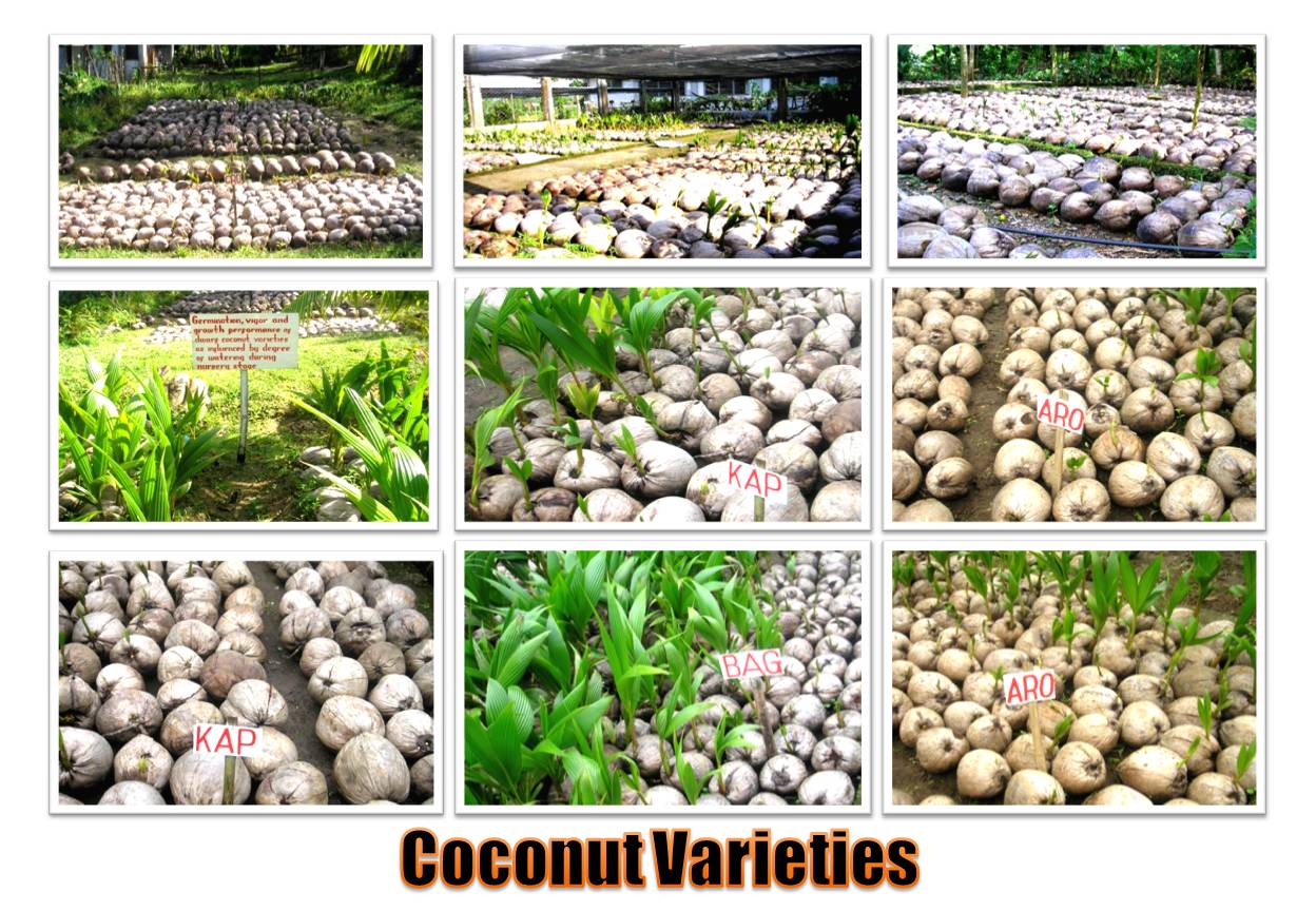 The CAPSU RDE Monitor: Coconut Breeding and Trials Unit (CBTU)