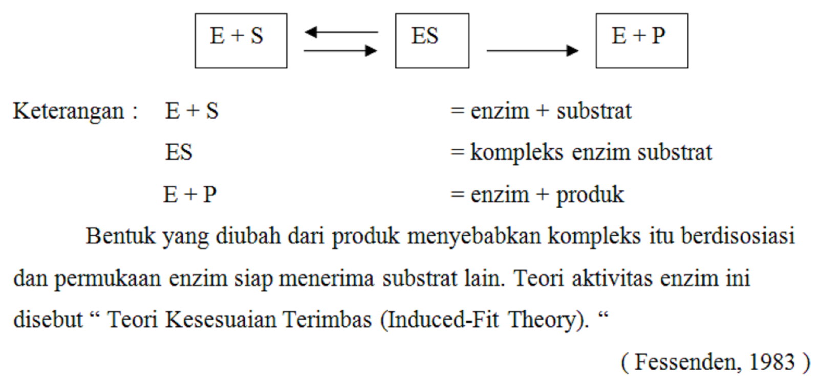 PERCOBAAN VII REAKSI KIMIA III : KATALIS ENZIMATIS (KIMIA DASAR II ...