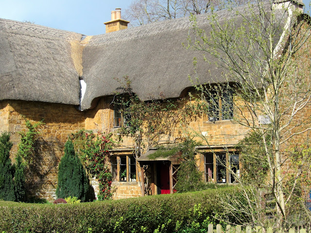 Curiouser and Curiouser: A Spring Walk Near Duns Tew