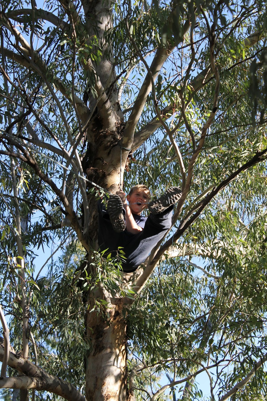 Plaasjapie: Fufi-slide...