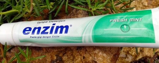 karto's blog: Odol atau pasta gigi untuk sariawan