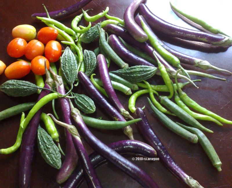 mac's blogspot: "ILOKANO FOOD"