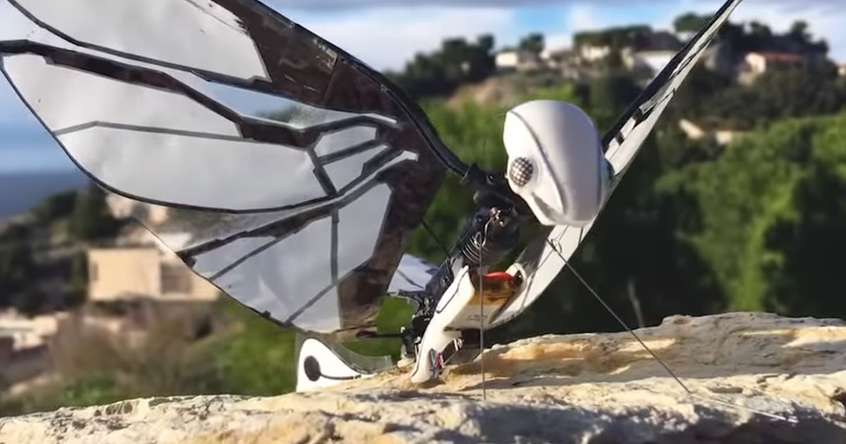 ¿INSECTO VOLADOR CON CONTROL REMOTO?