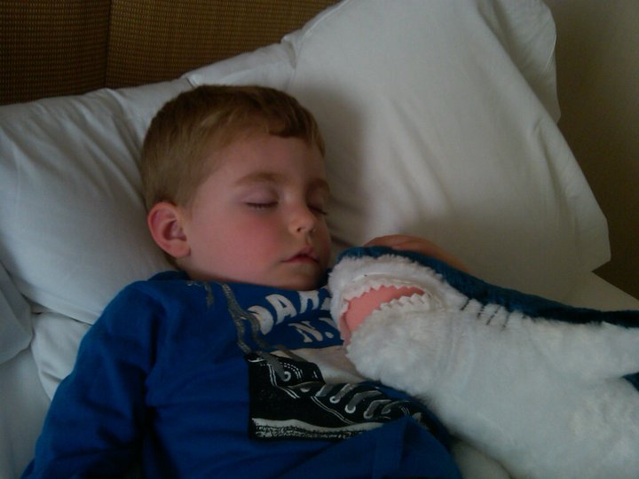 Grammie Bee's Book Buzz: Halloween Children's Books~What's New!