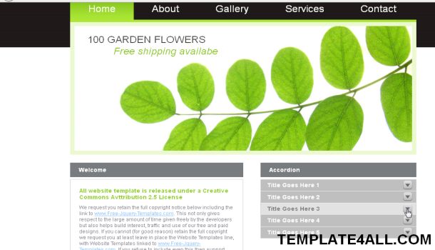 Free HTML Mountaines Forest Website Template