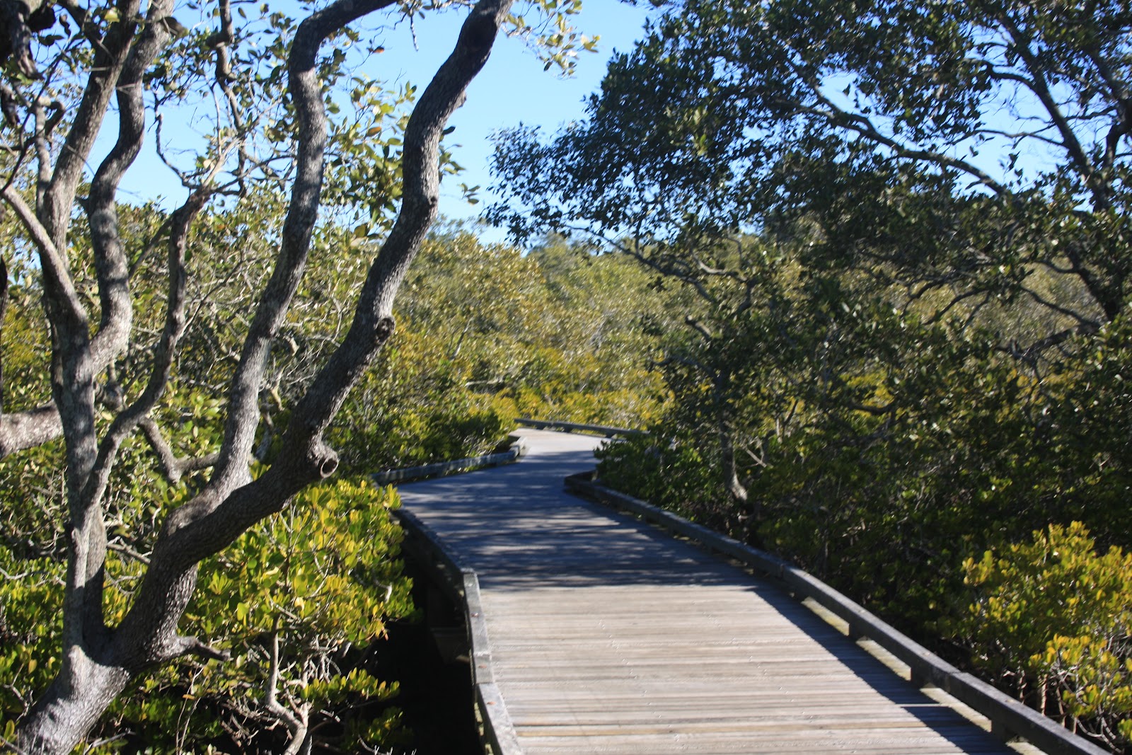Mik's Random Adventures: NUDGEE BEACH