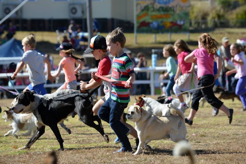 The Great Nundle Dog Race - May 1 | Australian Dog Lover