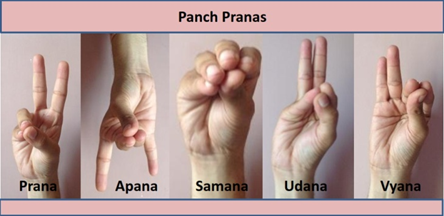 ॐ)):~ Spiritual Sanatan ~:((ॐ)):~