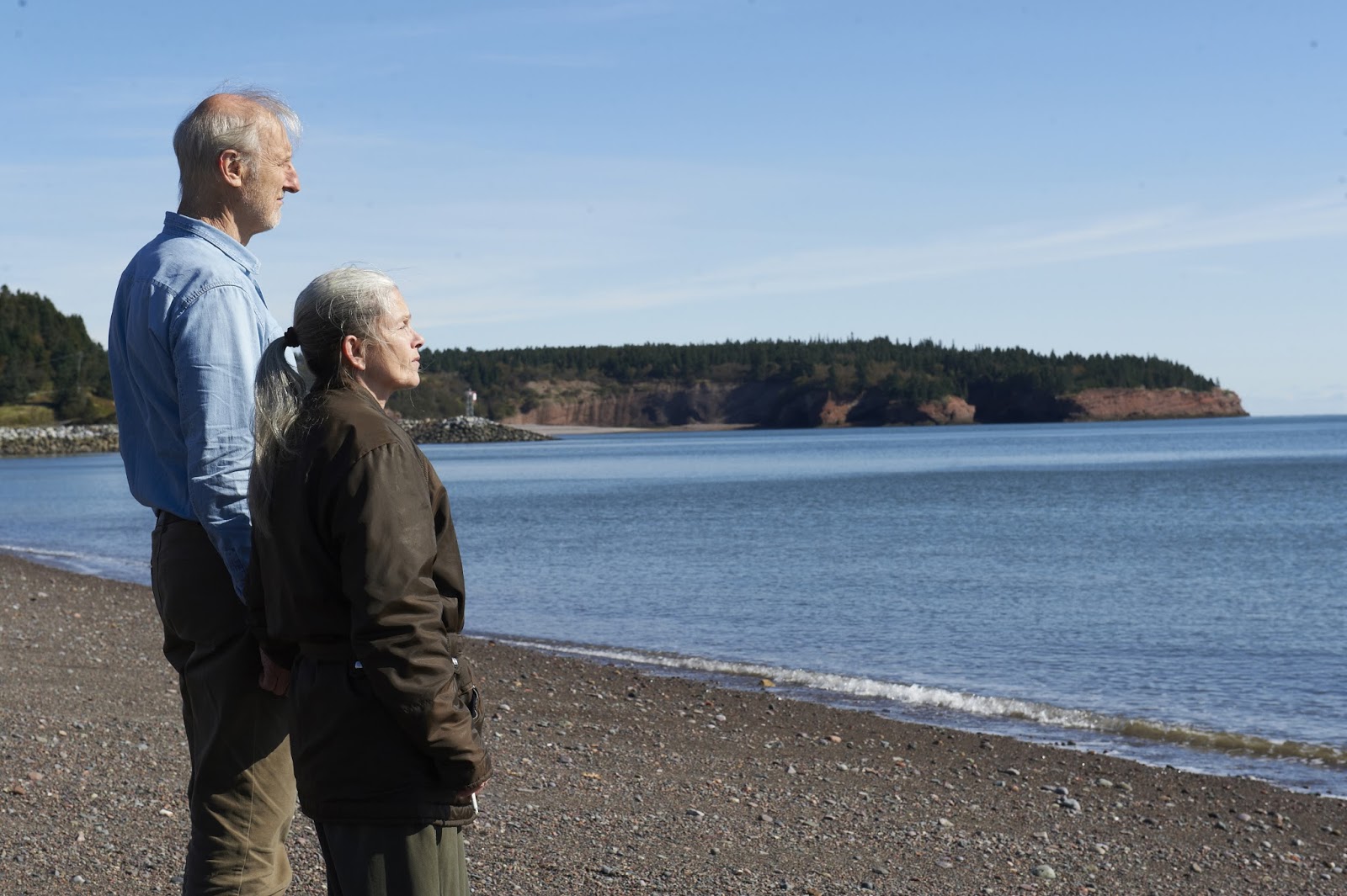 Roboapocalypse: STILL MINE Review