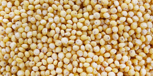 SOY LO QUE COMO: ACERCA DEL MIJO