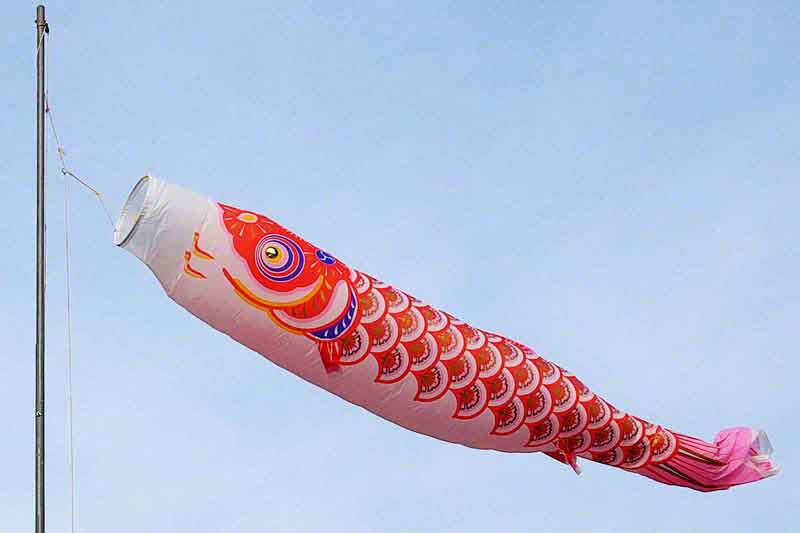 Ryukyu Life: Flying Fish? Nope Koinobori (鯉幟) and Fun to Shoot