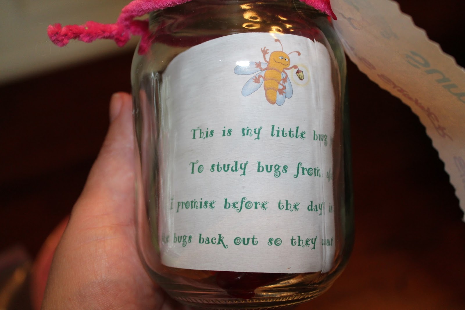 Naturally Sweet Sisters: Diabetes and Crafts: How to Make a Summer ...