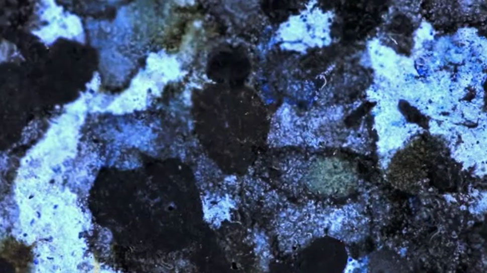 real life is elsewhere: john knuth - fly paintings