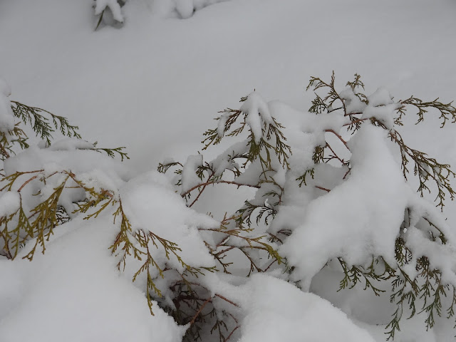 Live and Learn-Toss and Turn: Spring