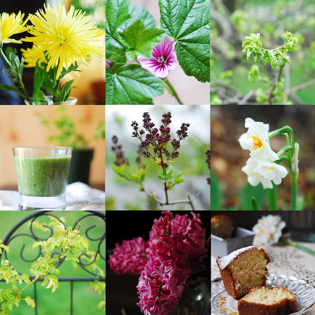 Colours of my week | SAS does ...: Colours of my week