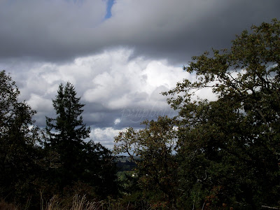 Photos by Jan: Ominous Clouds