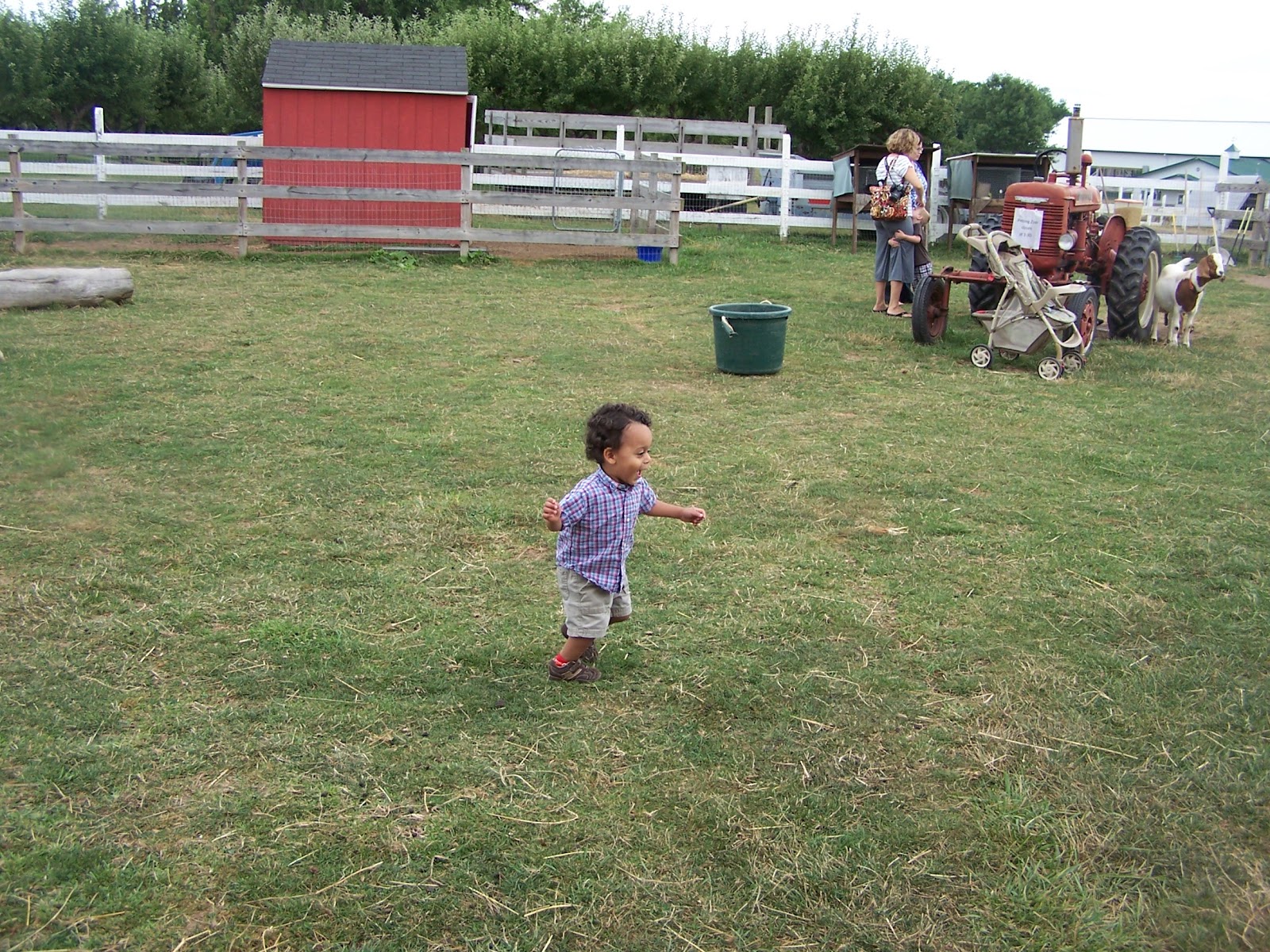 Three Cats and a Baby: A Day At The Farm