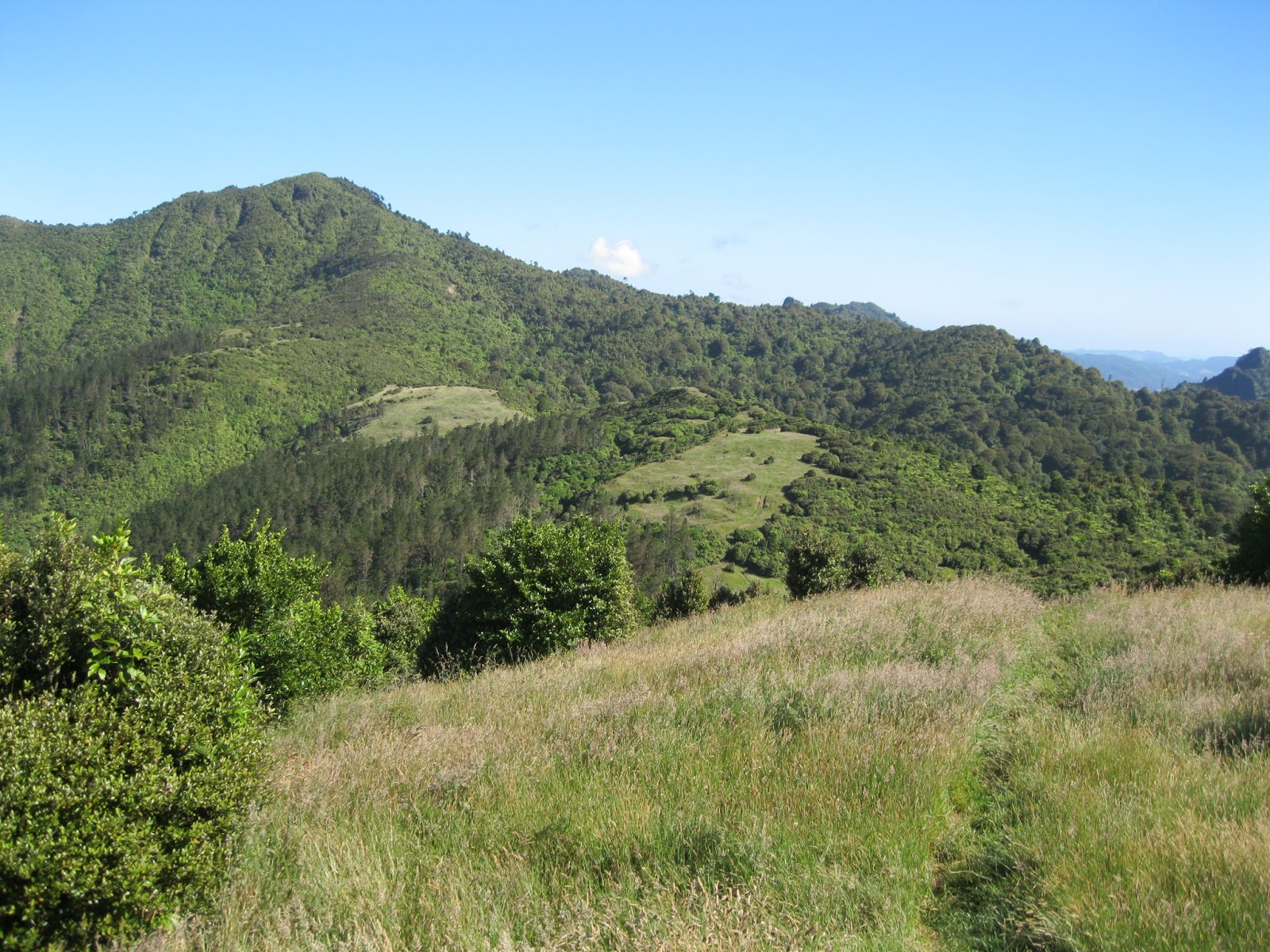 Enthusiastic Amateur: Hiking the Kaimai Range – 82km in 5 days