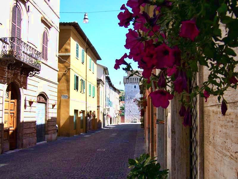 Italia, fotos e historias by Patzy: Donato Bramante, arquitecto ilustre ...