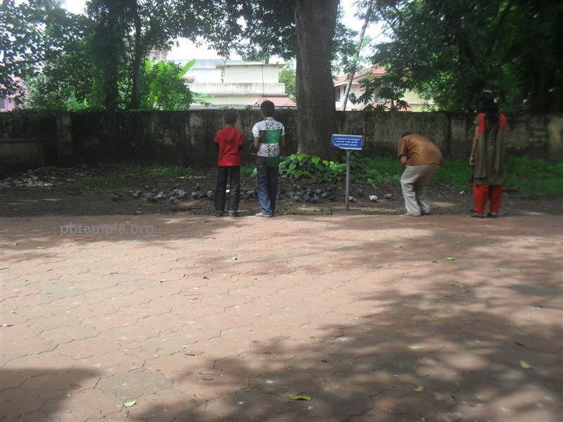 Edappally Maha Ganapathy Temple: Edappally Sree Maha Ganapathi Temple