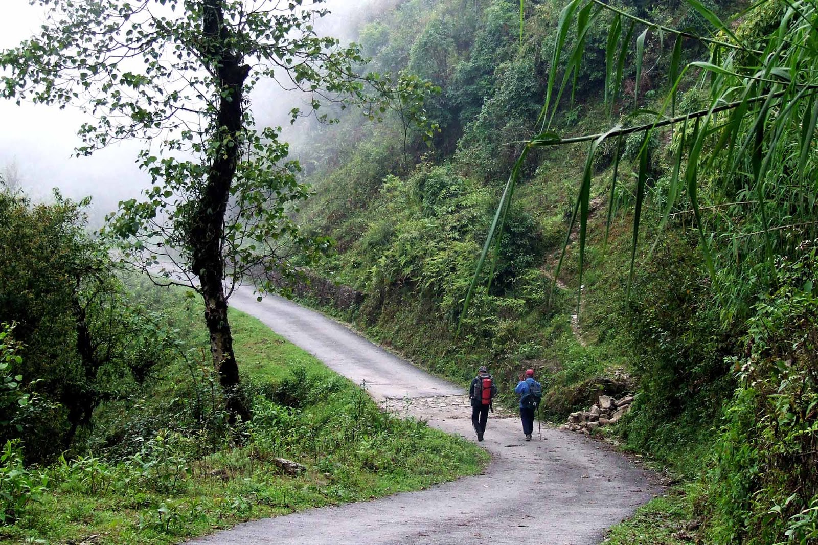 The Weekender: Senchal Wildlife Sanctuary with Chatakpur,Bagora ...