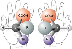 World of Biochemistry (blog about biochemistry): Enantiomers