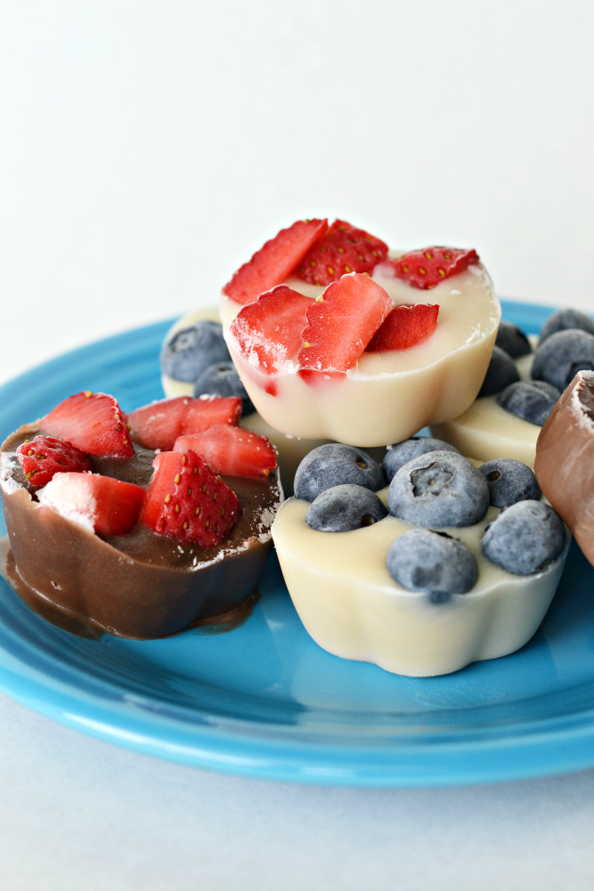 The Life of Jennifer Dawn: Fruity Frozen Pudding Bites