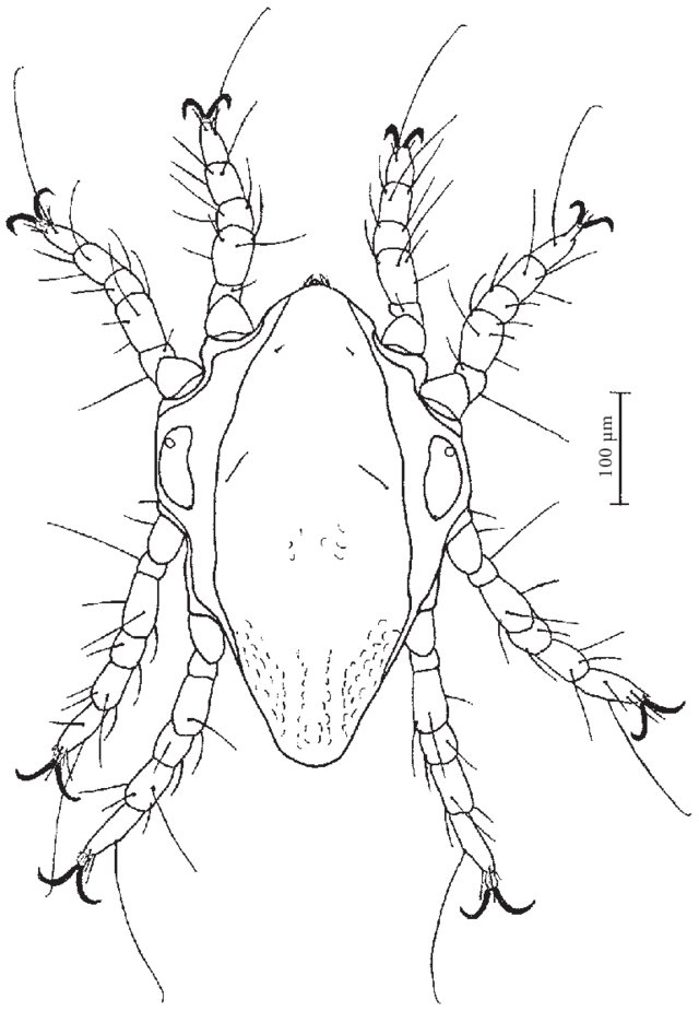 Variety of Life: February 2019