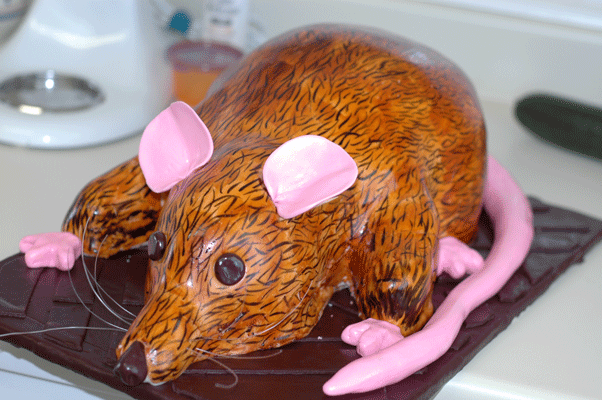 DeadbyDawn: RAT DISHES