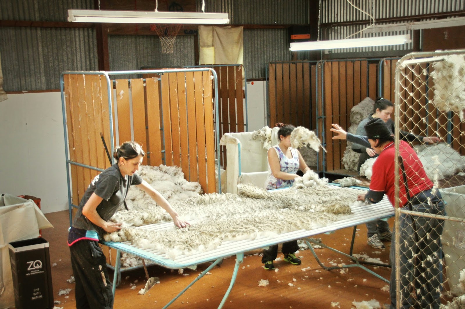 L♥valizious: Inside the shearing shed