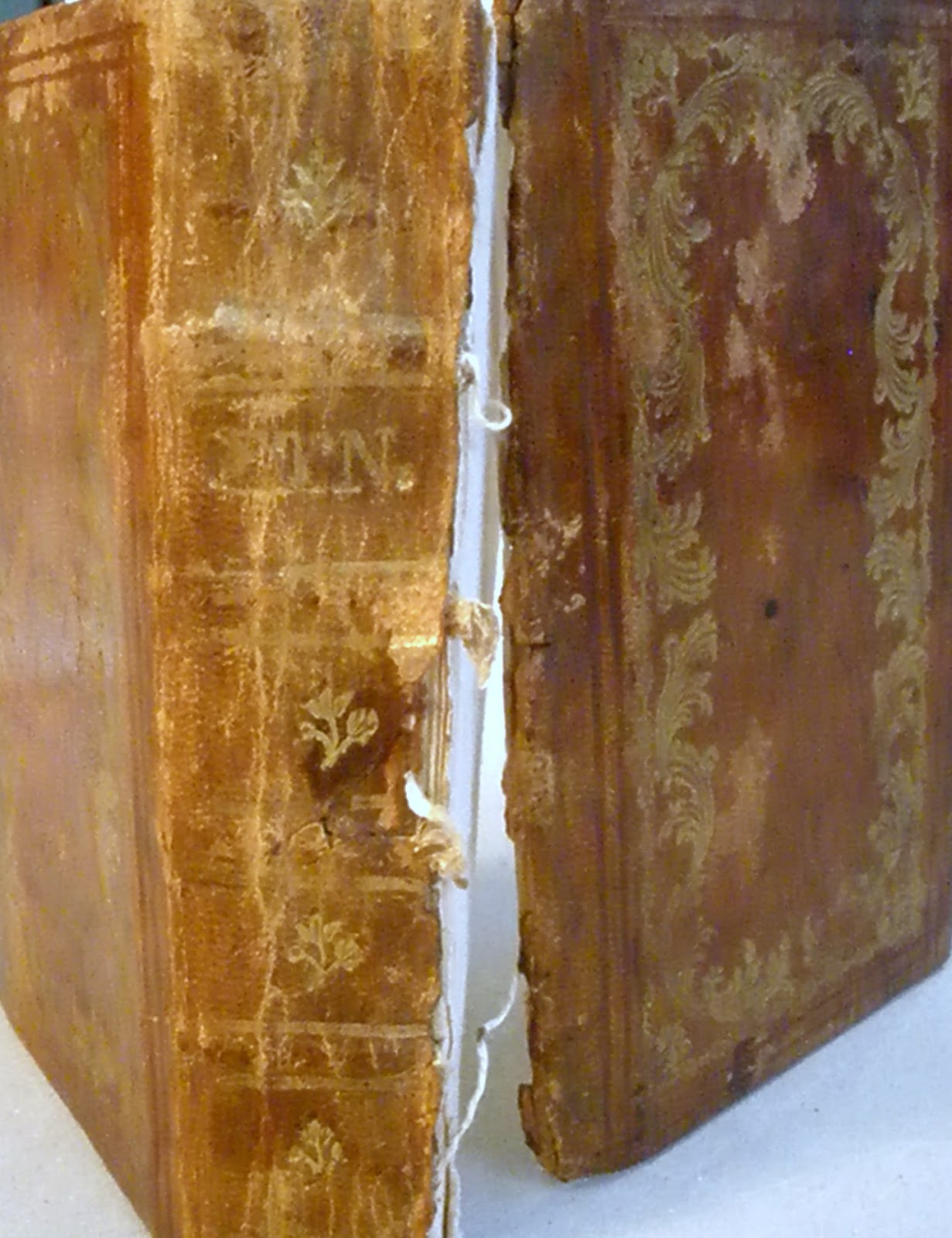 Evangelia Biza Designer Bookbinder, Book Paper Conservator: Book,Paper ...