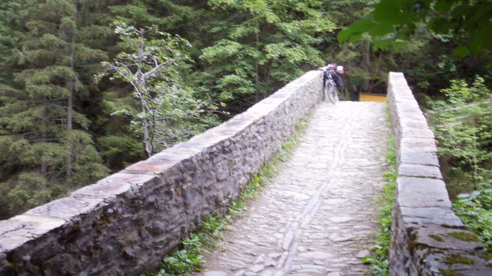 EXCURSII CU BICICLETA: Elvetia