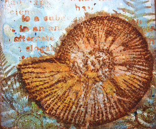 Bumblebees and Butterflies: Panel 3 - Coiled chambered fossil shells ...