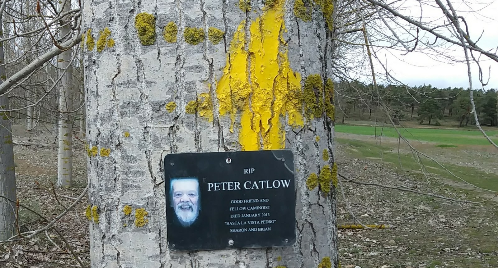 Our Boat Leaves the Harbor: Day 5 Añe