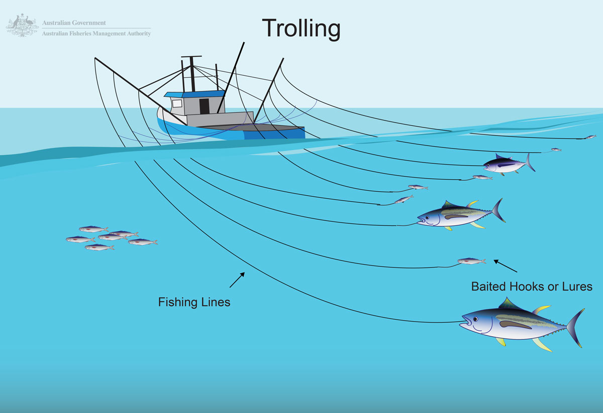 DK's Diary: Teknik Memancing