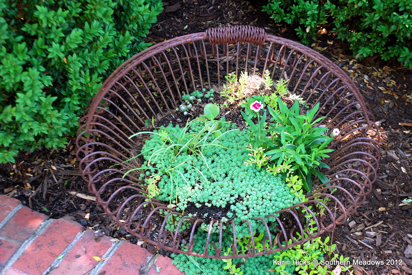 Cows & Gardens Equals Whimsical Inspiration