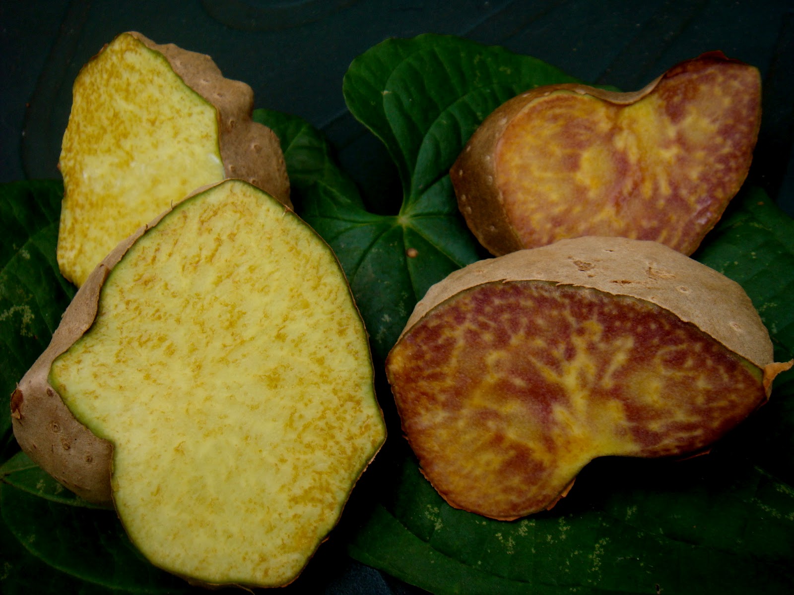 come-se: Cará moela. Coluna do Paladar 4