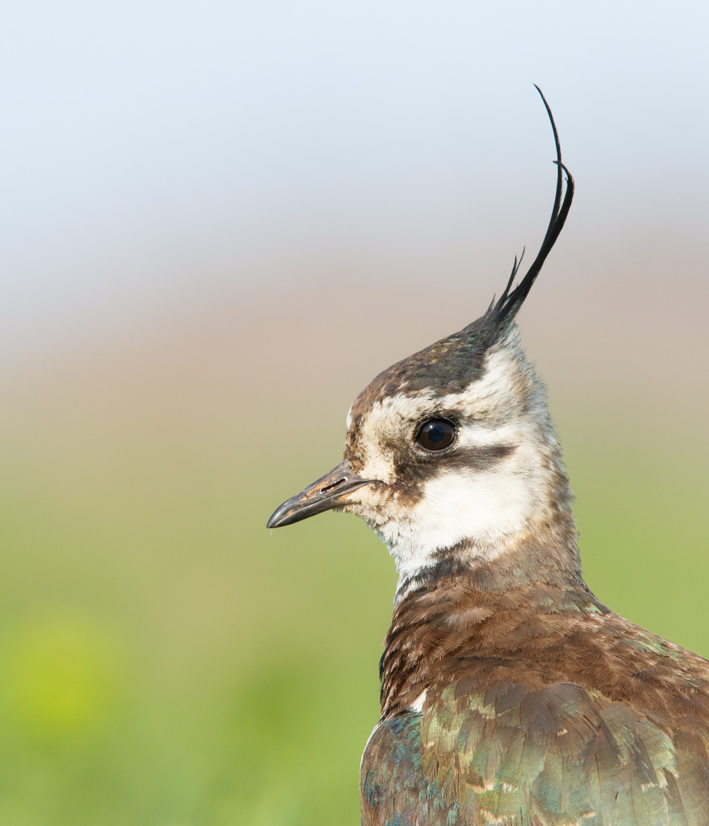 Nikos Fokas Photopraphy Blog