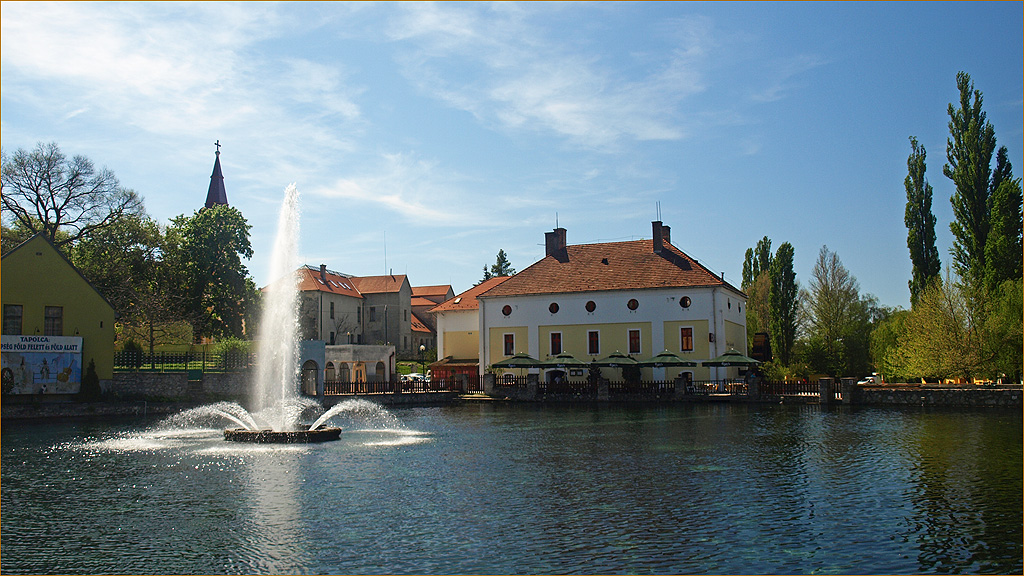 Nádasdi-blog: Kifogták az aranyhalat Tapolcán!