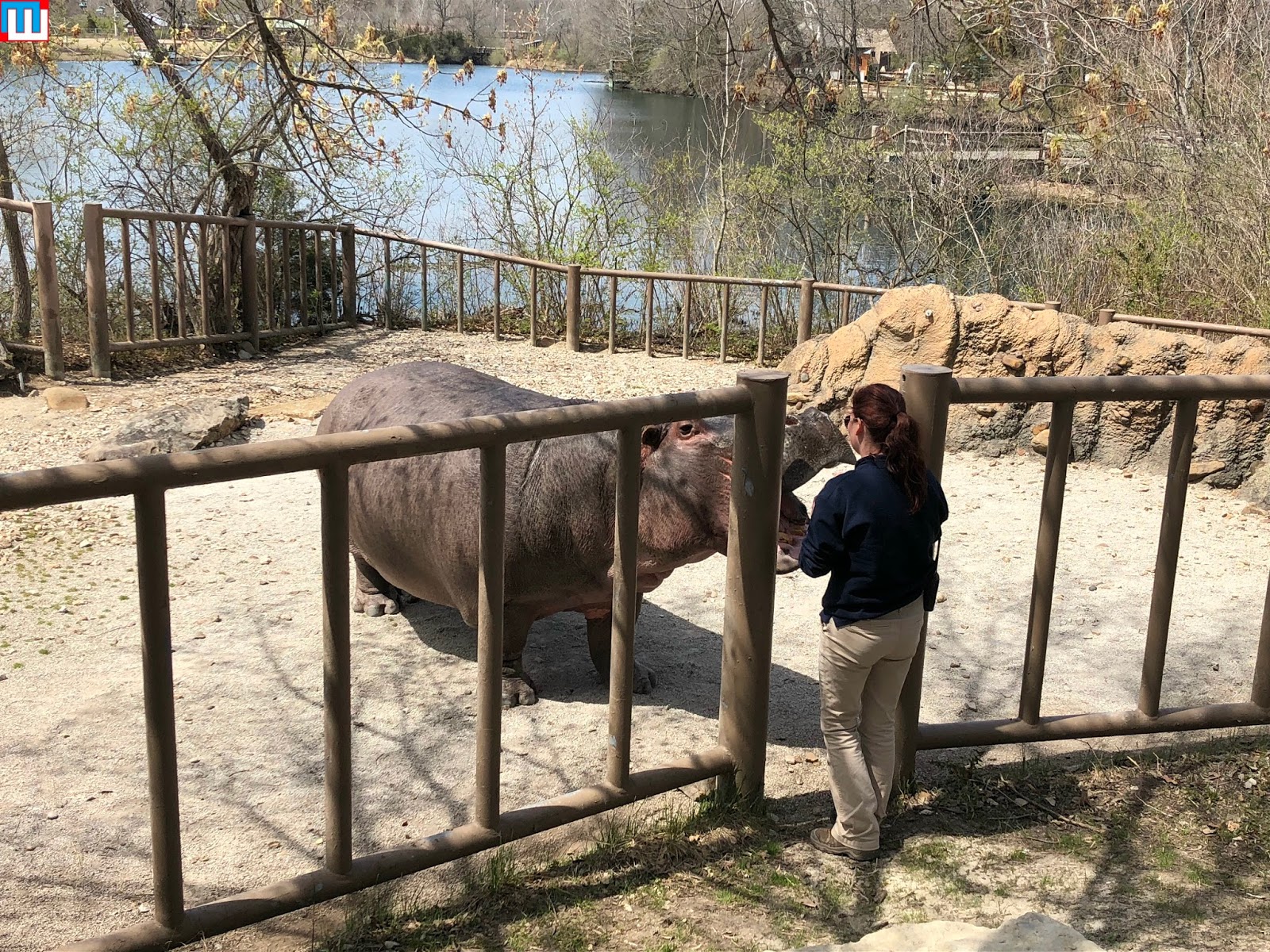 MidwestInfoGuide: Kansas City Zoo