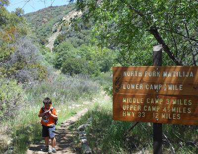 1000 Hikes in 1000 Days: Days 523 & 524: Camping on the Matilija Trail