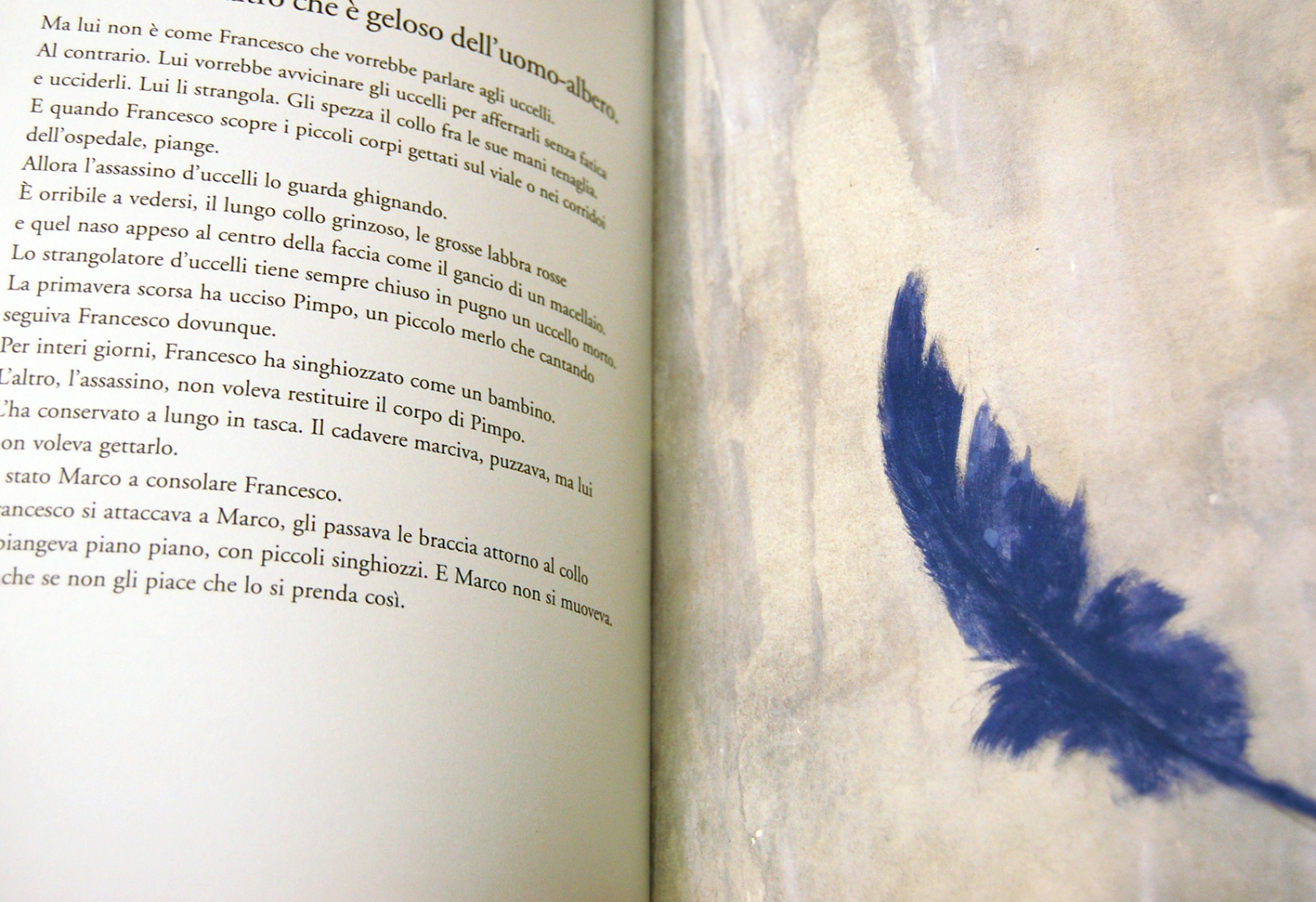 Gruppo di lettura C'era due volte un libro: Il Colore