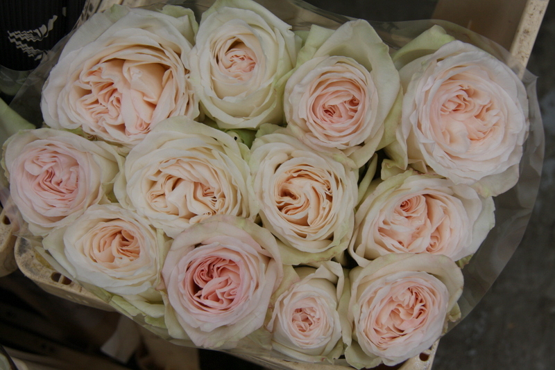 The Epic Floral Tale of Sam & Lily's Breathtakingly Beautiful Wedding ...