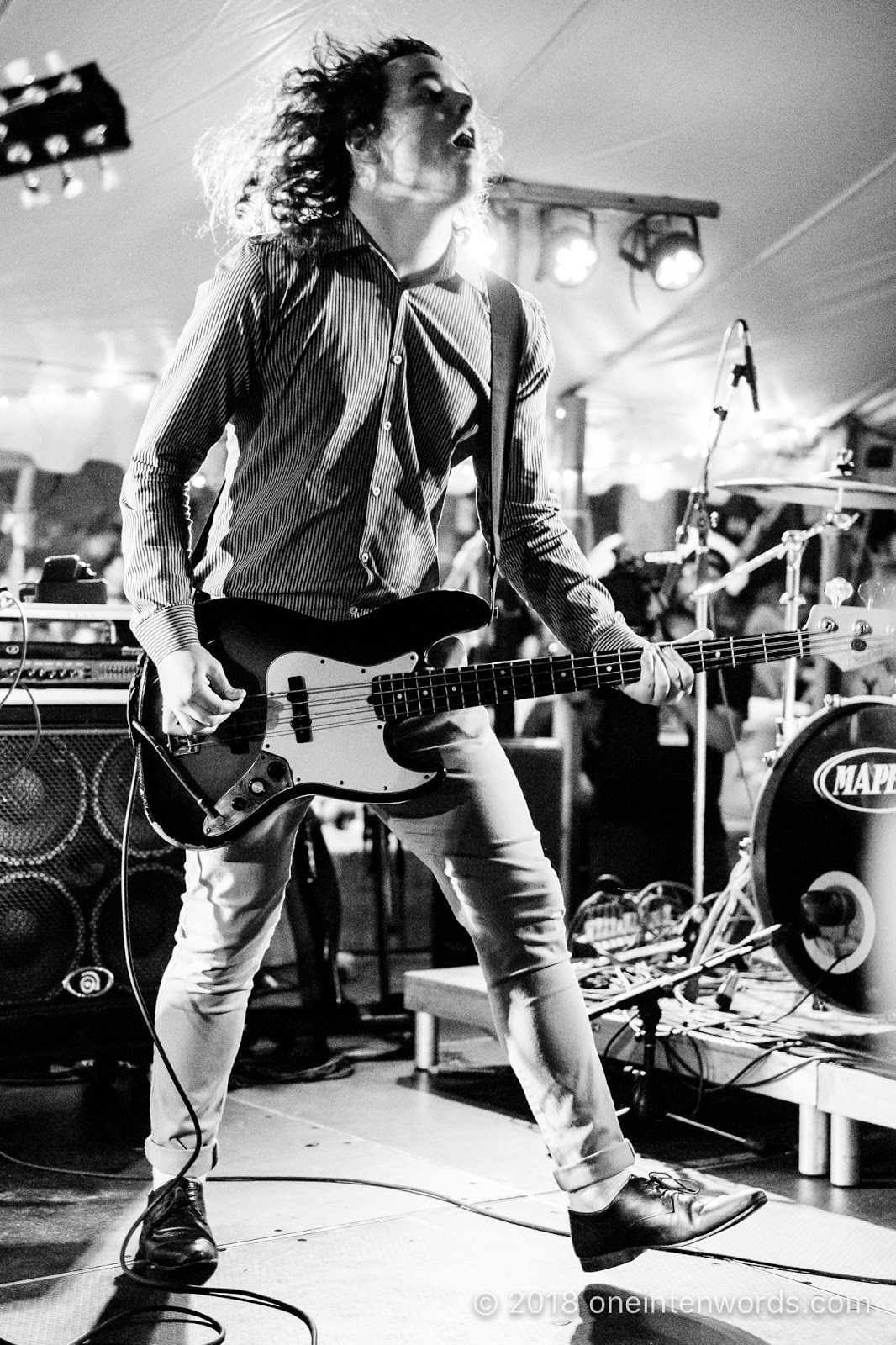 one in ten words: Riverfest Elora 2018: Day 2: Born Ruffians - Concert ...