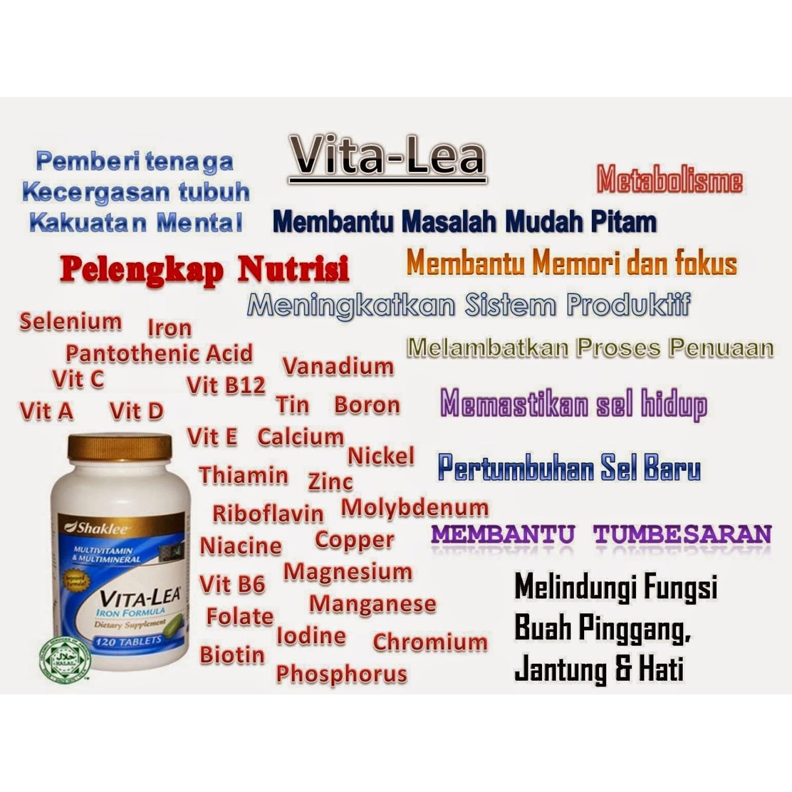 Tanda-tanda Talasemia dan Cara Merawatnya | Blog Ummiiyad