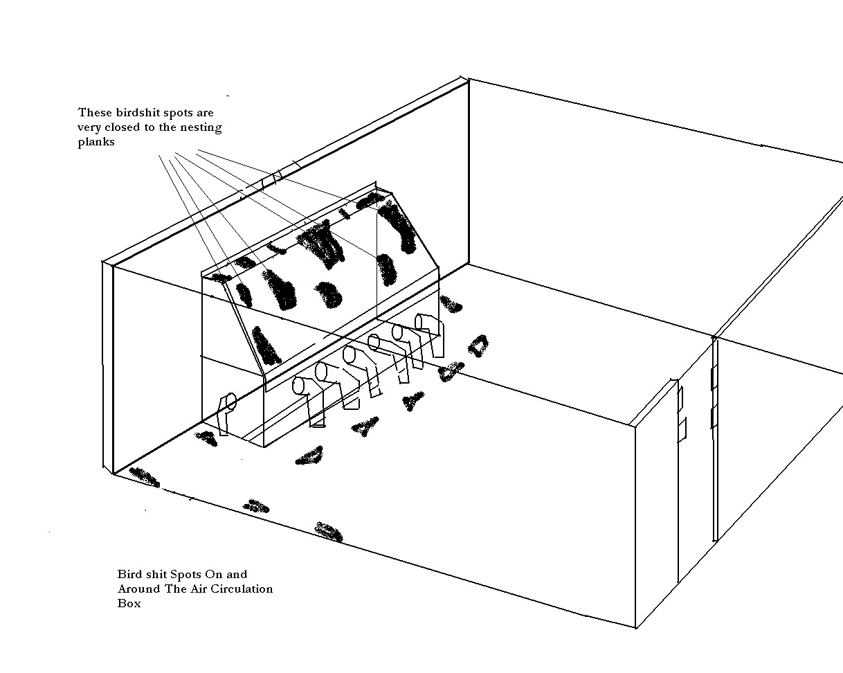 Swiftlet Farming: Million Dollars A Year Income Potential.: The ...