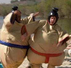 WORLD NEWS: View sumo fight funny gallery