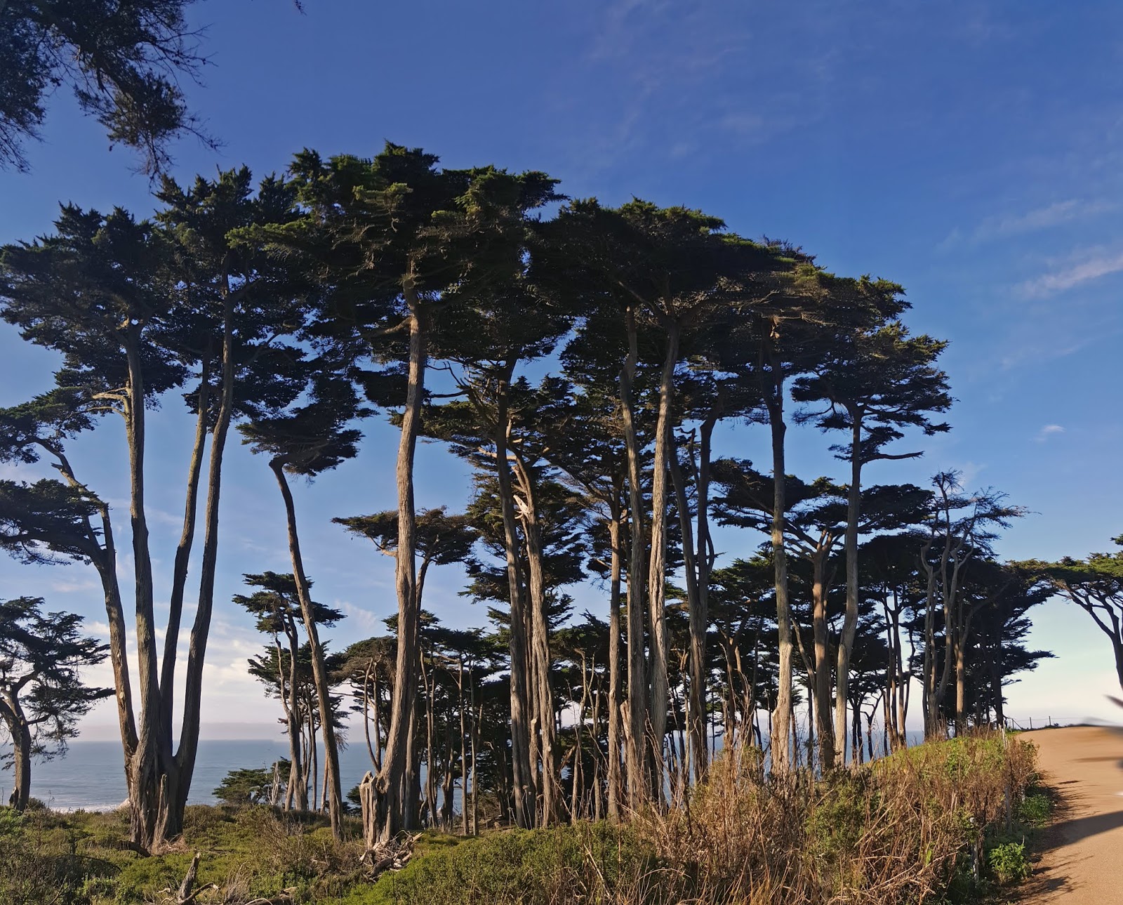 view from the thirteenth floor: the left coast – day 1